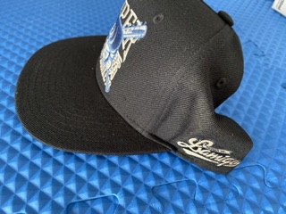 CPBL 中華職棒 LAMIGO 棒球帽 | 蝦皮購物