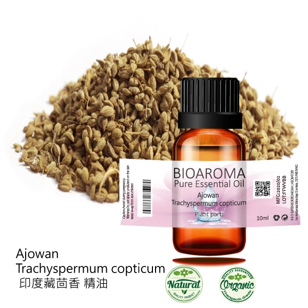 【純露工坊】印度藏茴香精油Ajowan - Trachyspermum copticum 100ml | 蝦皮購物