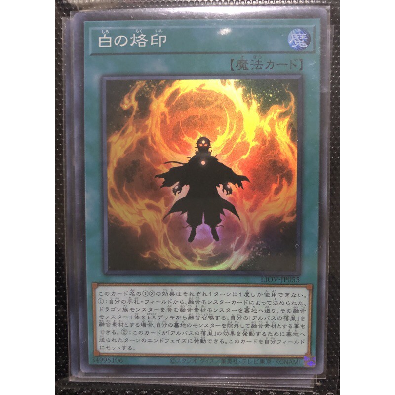 LIOV-JP055 白之烙印 (亮面) | 蝦皮購物