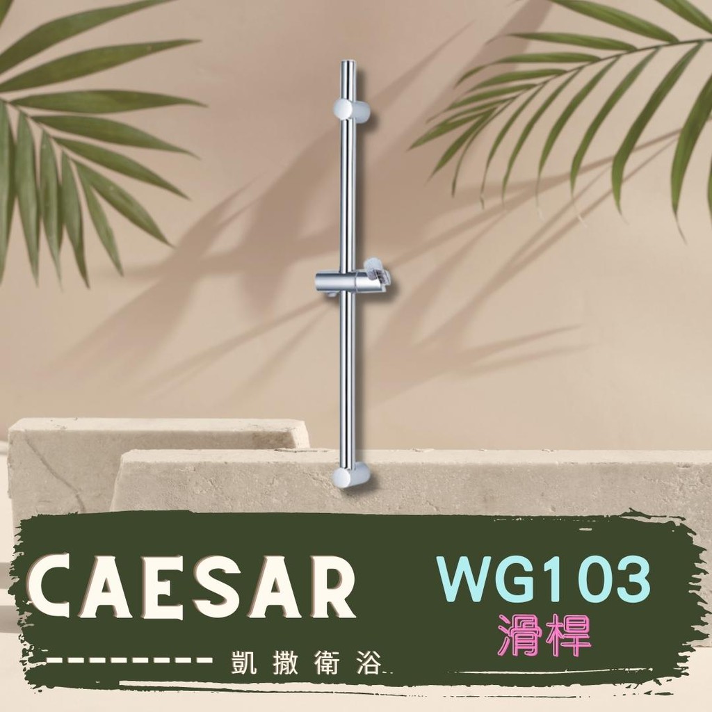 caesar 凱撒 WG103 滑桿 伸降桿 蓮蓬頭架 蓮蓬頭 淋浴龍頭 | 蝦皮購物