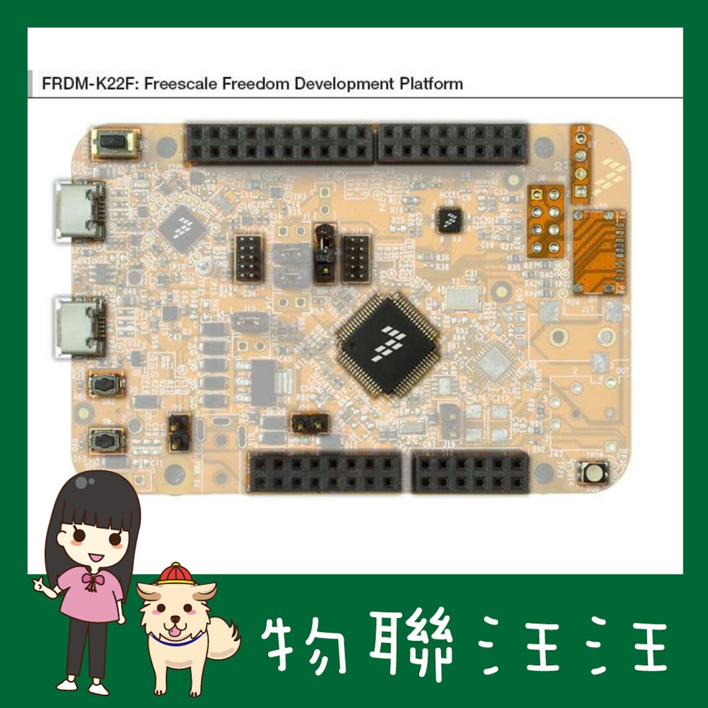 物聯汪汪 附發票~ 原廠現貨 Frdm K22f Development Board 開發板 蝦皮購物 