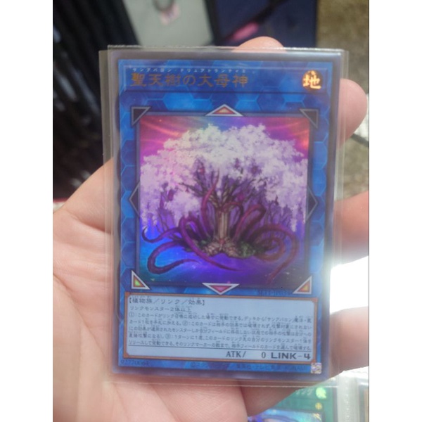 遊戲王 SLT1-JP034 聖天樹之大母神 (金亮) | 蝦皮購物