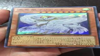 遊戲王-MACR-JP026 真龍凰聖母赦免 (亮面) | 蝦皮購物