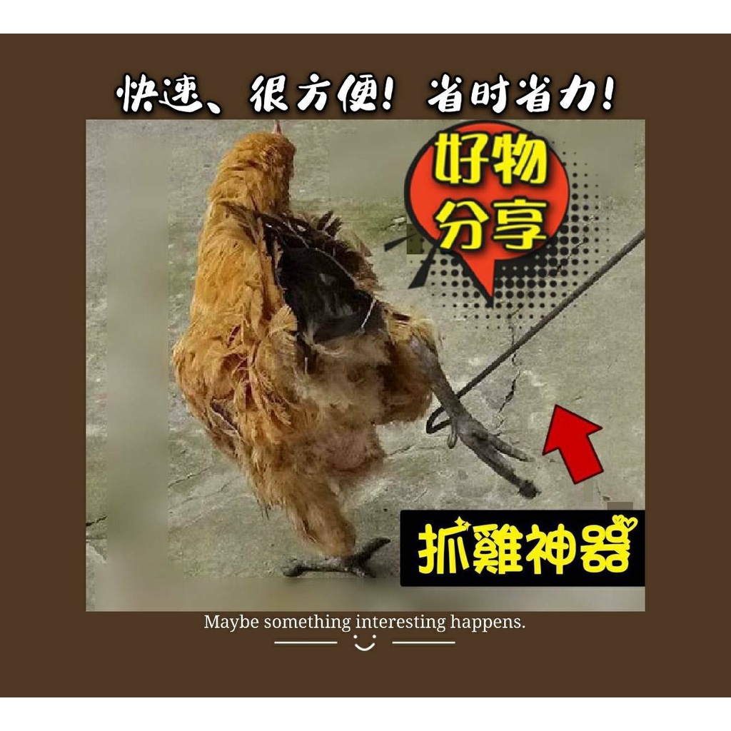 鳳君商行 專業好物 抓雞神器 手持長桿 禽類適用 白鐵/鍍鋅 勾 台灣製造哦! | 蝦皮購物