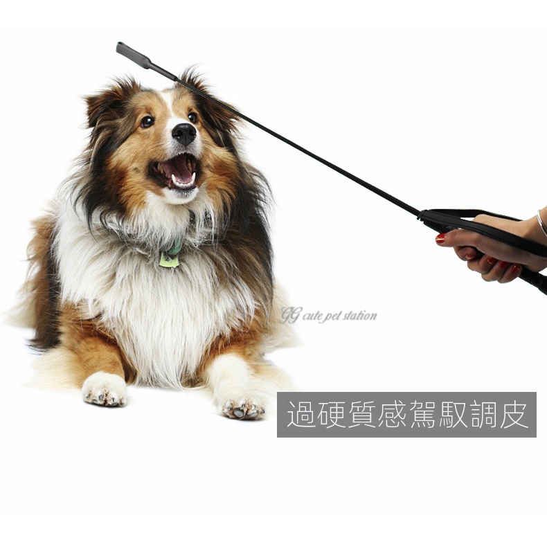 【cute pet station】狗狗訓練用品 訓狗棒 訓狗拍 訓犬棒 訓狗神器 不傷狗鞭子 KGHJ | 蝦皮購物