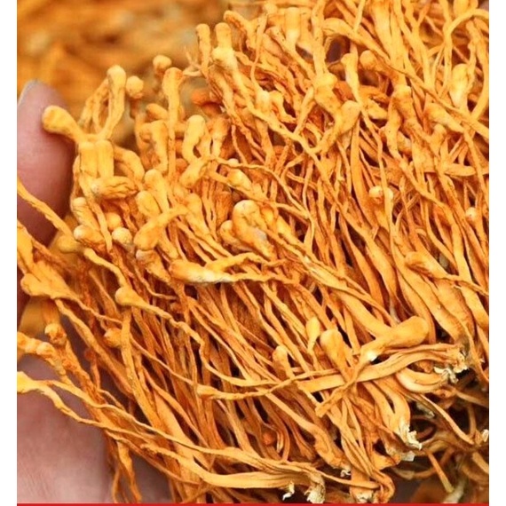 阿財旺鋪 蟲草花 無硫磺 高品質蟲草 | 蝦皮購物