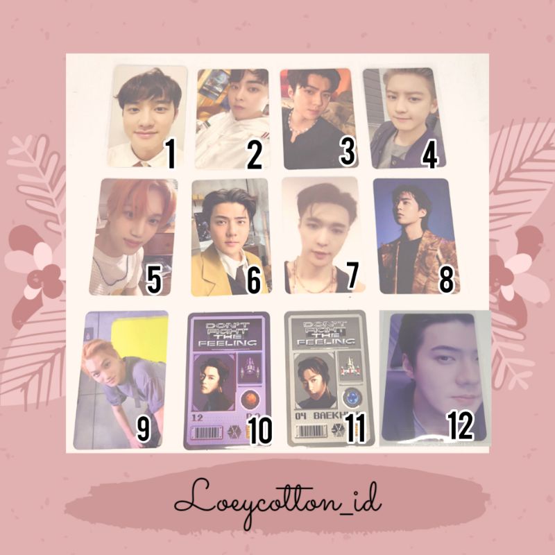 Exo DFTF PC 照片卡擴展 PB 1 2 JEWEL AR LAY SEHUN KAI DO 燦烈白賢 | 蝦皮購物
