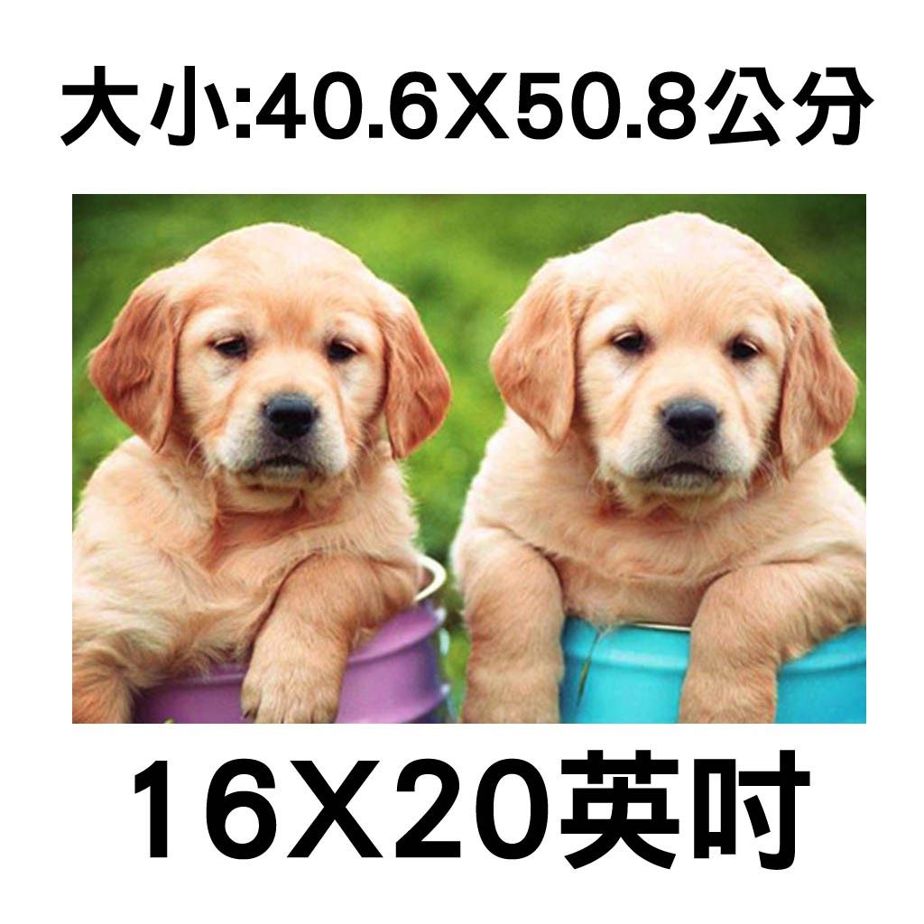 相紙放大.相片放大.大張相片光面.珍珠面不沾指紋..印相片.洗相片.相片沖洗.洗照片.代客沖洗.印照片.全家福放大張 | 蝦皮購物