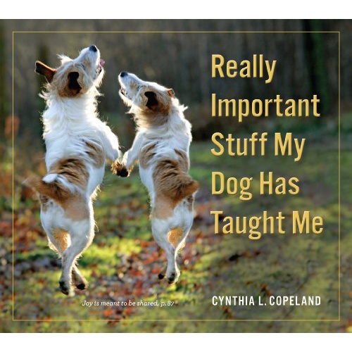 《文化國際通》Really Important Stuff My Dog Has Taught Me狗給我的啓示 | 蝦皮購物