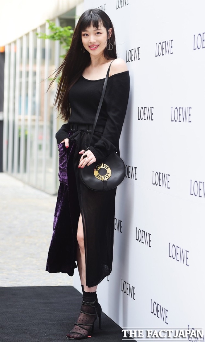 LOEWE “JYOCE”崔雪莉示範 小牛皮 金屬LOGO 單肩包 側背包 真皮 絕版品 T釦 挺版 文青小資精品上班族 | 蝦皮購物