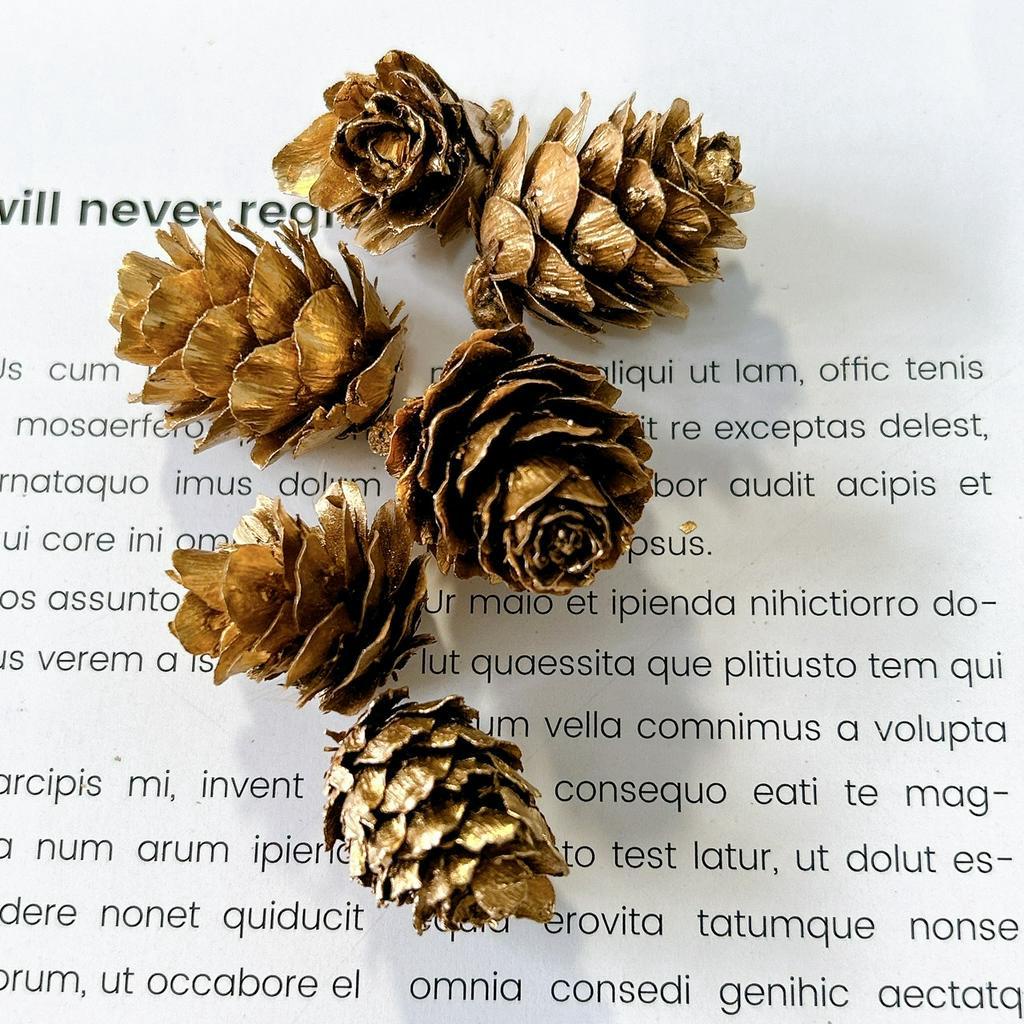 落葉松果 松果 乾燥果實 ☆ VITO zakka ☆ 花材 拍攝道具 DIY創作 手做材料 果實 花圈材料 | 蝦皮購物