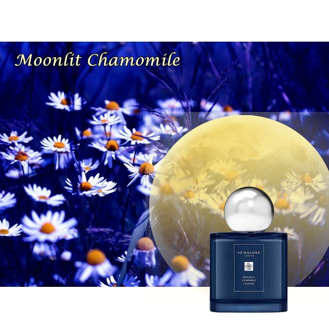 月光花洋甘菊 午夜藍調系列 Jo malone Moonlit Chamomile | 蝦皮購物