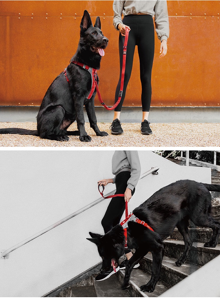 現貨出清特價【WAWA PET】澳洲EZYDOG X減壓胸背帶 寵物胸背 減壓胸背 | 蝦皮購物