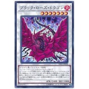 【卡の家】遊戲王 DP21-JP028 20AP-JP067 黑薔薇龍 (普卡/普鑽) 隨機出貨 | 蝦皮購物