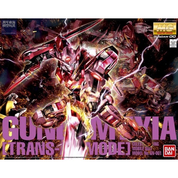 萬代 MG 能天使鋼彈 TRANS-AM Ver. 1/100 萬年東海 機動戰士鋼彈 OO | 蝦皮購物