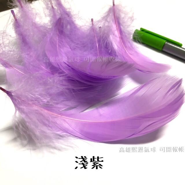 現貨 羽毛 100根 波波球 氣球 專用 羽毛填充物 壓克力球填充物 告白氣球 花束 小王子氣球 勞作 禮物填充物 | 蝦皮購物