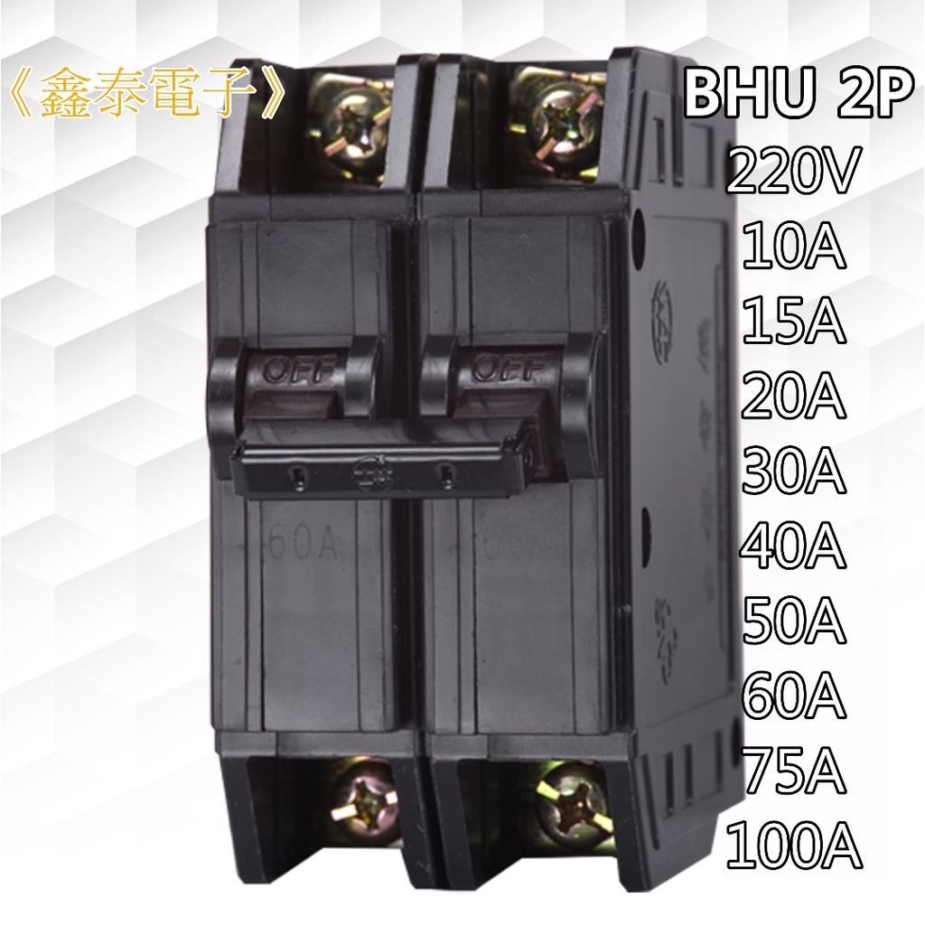 【士林電機】無熔線斷路器 BHU 2P 15~100A (220V 10KA) 無熔絲開關 | 蝦皮購物