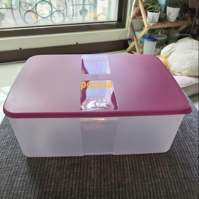 Tupperware 5L FM Large III【Popsia 特百惠5000cc大型冷凍保鮮盒(1)】現貨 | 蝦皮購物