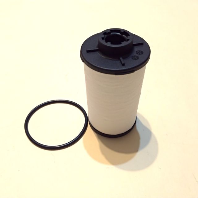 福斯 奧迪 SKODA VW AUDI 02E DSG DQ250 6速 濕式 變速箱濾芯 變速箱 | 蝦皮購物