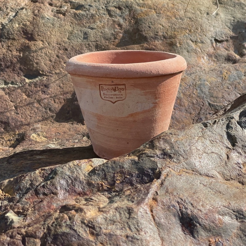 Potti Pianta｜Poggi Ugo 義大利手工陶盆-VASELLO 10cm 現貨 | 蝦皮購物