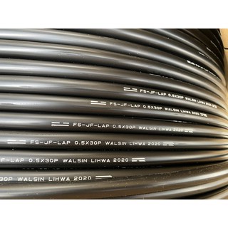 [ 請先詢價 FS-JF-LAP 屋外電話線 ] 華新麗華 0.5mm 10P 30P 50P 100P 200P 充膠 | 蝦皮購物