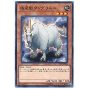 【DCT_緣夢の城】遊戲王 LVP2-JP045&STOR-JP010 極星獸 坦格里斯尼爾 普卡 90-95分 | 蝦皮購物