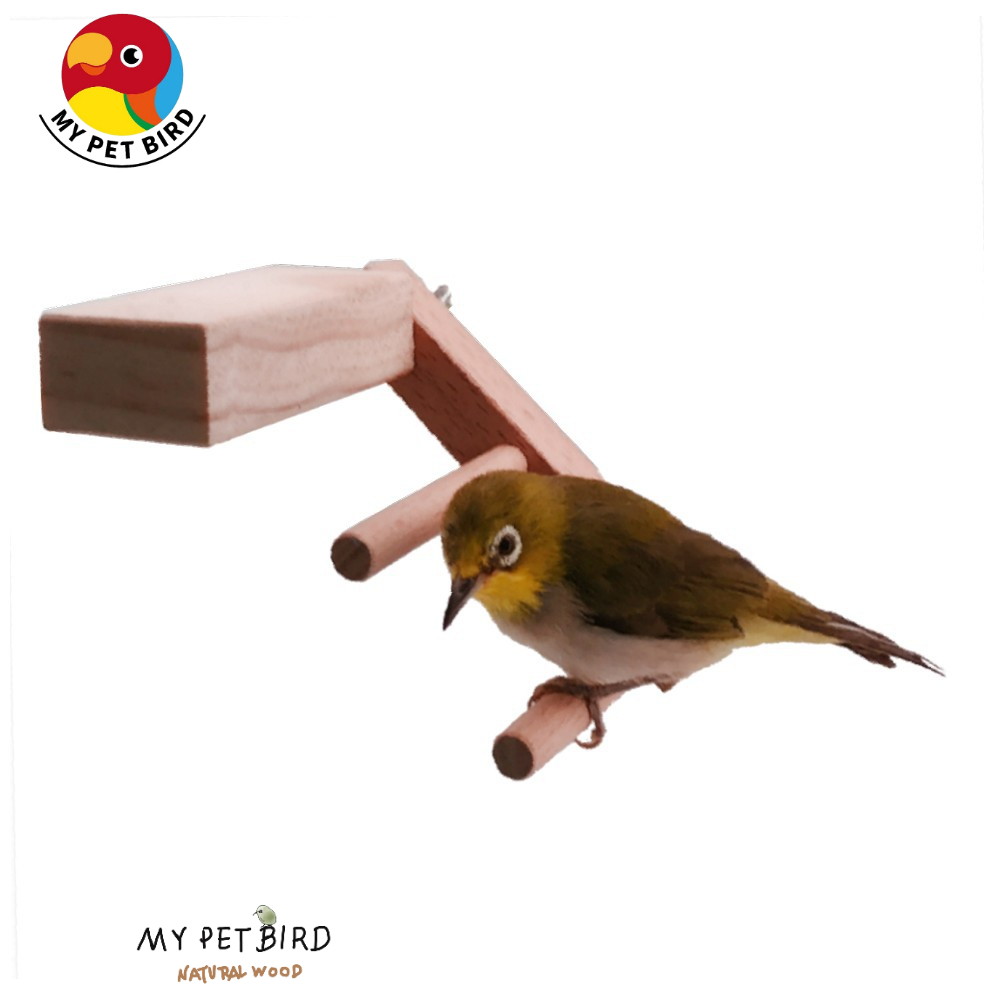 MY PET BIRD 提升籠內體驗｜創意無限的雙向梯產品 W756 | 蝦皮購物