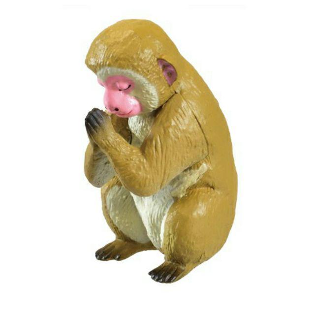 【刺蝟蹦蹦蹦】現貨 YELL 轉蛋 扭蛋 合掌祈福動物 P6 拜拜動物 松鼠 倉鼠 猴子 浣熊 雞 全5款 | 蝦皮購物