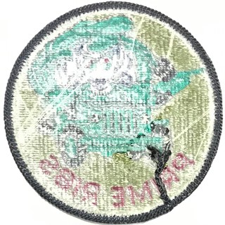 美軍公發 USAF 空軍 Prime RIBS Readiness In Base Services 臂章 綠色 全新 | 蝦皮購物