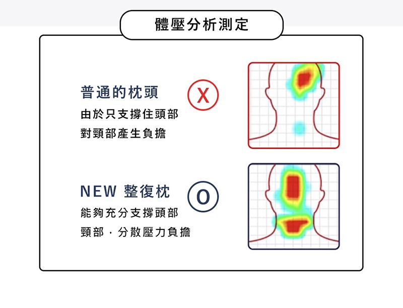 日本授權販售 RAKUNA 整體枕 (AZ-569N) | 蝦皮購物