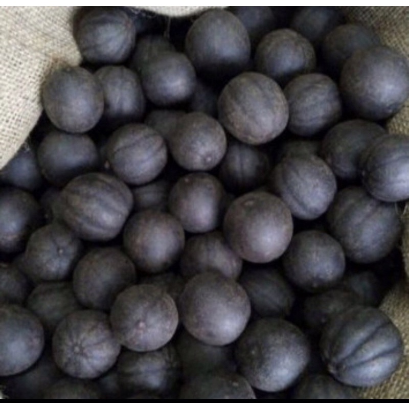 lemon hitam Black lemon jeruk aswad | 蝦皮購物