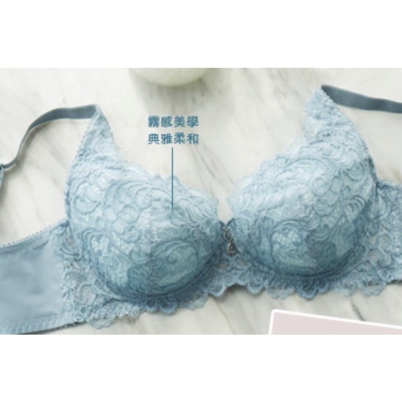 【曼黛瑪璉】R62130 綻美 高脅機能內衣 灰藍 玫麗紅 C85,D75,D80,E75,E85F75,F85 | 蝦皮購物