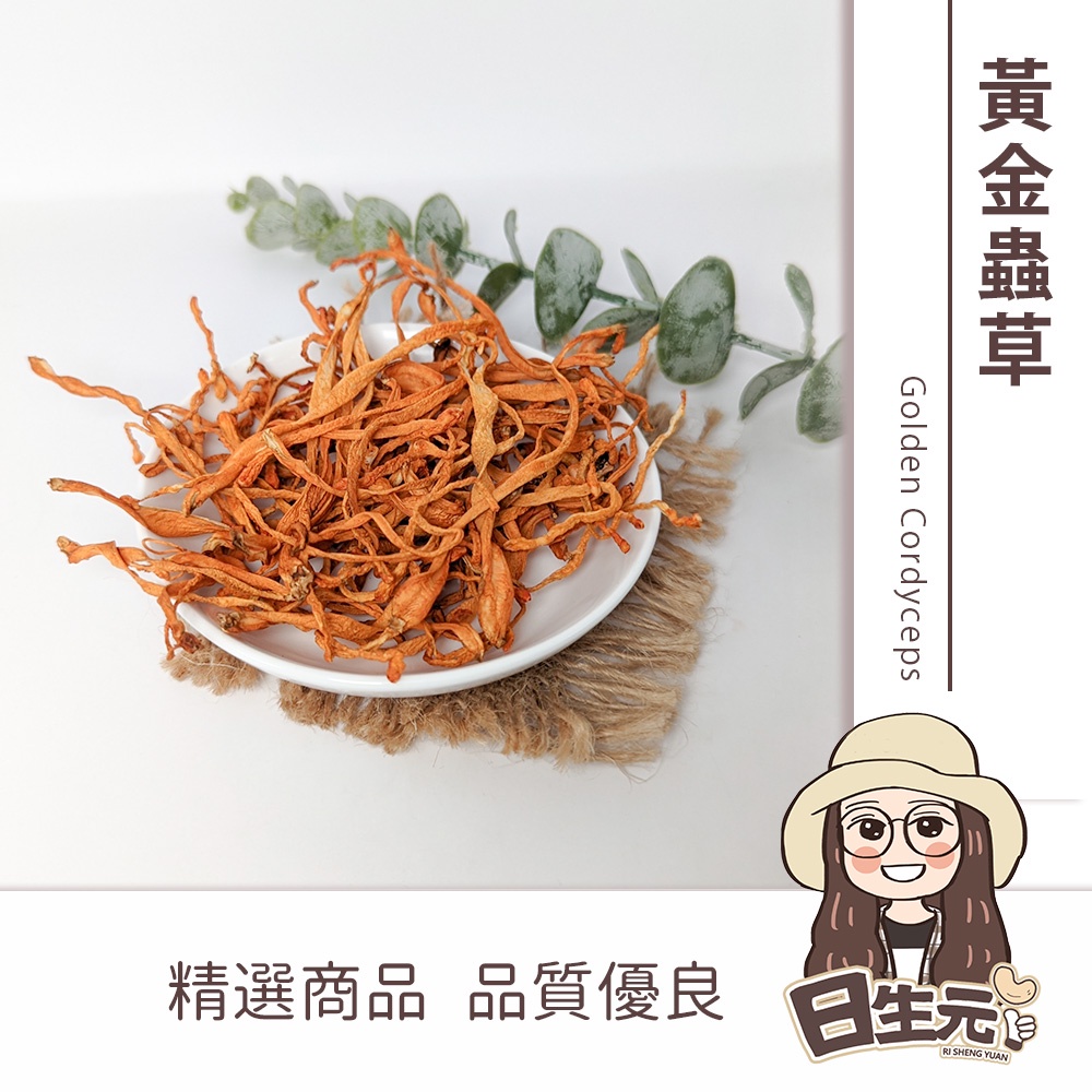 黃金蟲草藥膳包 300g 批發【附發票｜日生元】北蟲草 蛹蟲草 蟲草花 | 蝦皮購物