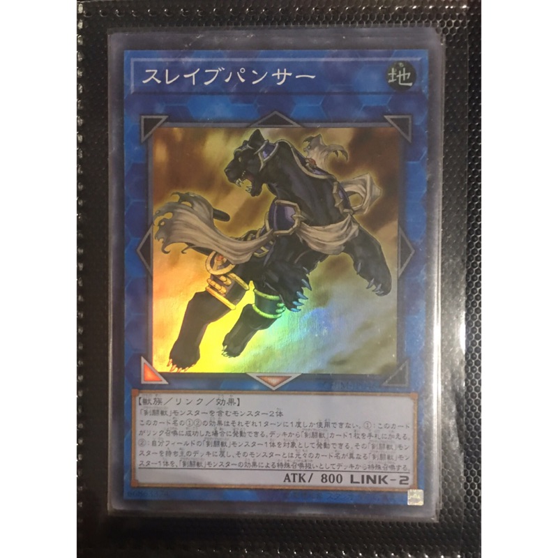 CHIM-JP046 奴隸豹 (亮面) | 蝦皮購物