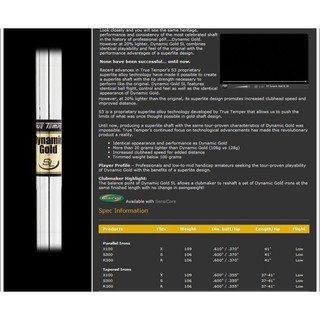 總統高爾夫 TrueTemper 輕量型 Dynamic Gold SL S300 R300 鐵桿 鐵木桿 用(平行桿) | 蝦皮購物
