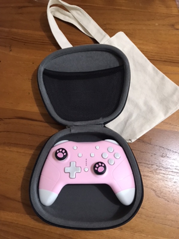 開發票-( NCC認證) SWITCH PRO 良值四代 五代 王國之淚 手把 搖桿 手柄 良質 LITE OLED | 蝦皮購物