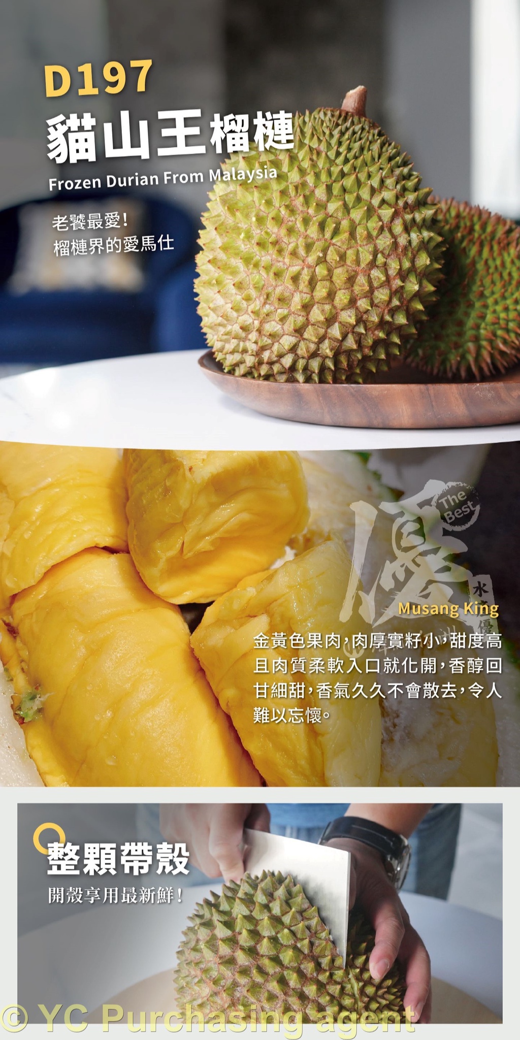 貓山王榴槤【預購】| 馬來西亞-帶殼液態氮冷凍D197(10kg/箱) | 頂級榴槤 | 老饕最愛 | 夏日必吃-貓山王 | 蝦皮購物