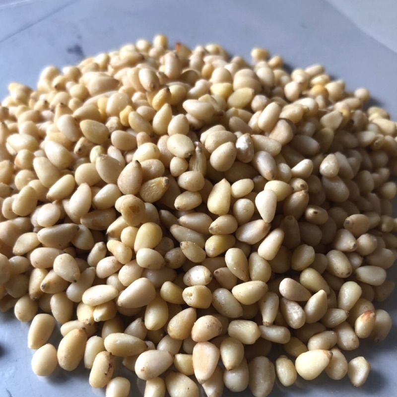 🎉CP小舖🎉松子/300g/600g(1A.3A) | 蝦皮購物