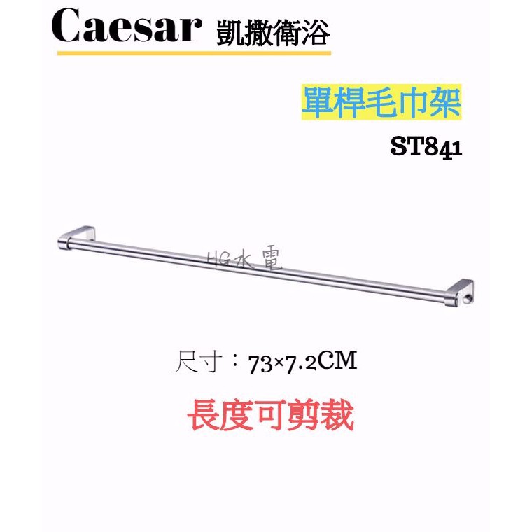 🔸HG水電🔸 Caesar 凱撒衛浴 單桿毛巾架 ST841 不鏽鋼珍珠鎳 | 蝦皮購物