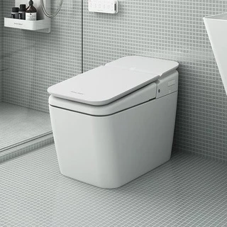 American Standard｜優惠推薦 - 蝦皮購物 - 2024年6月