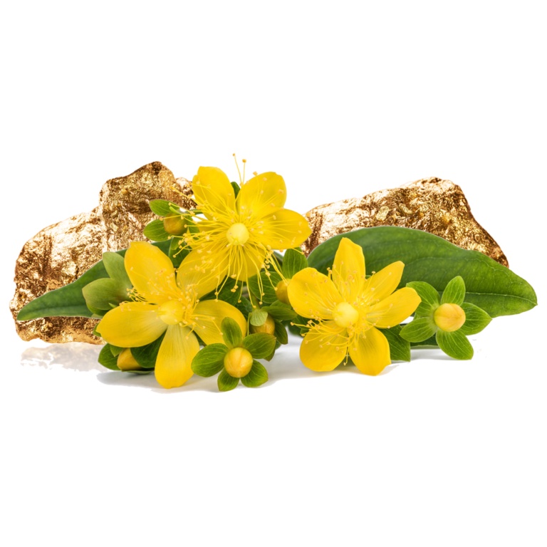 人智學 Uriel【黃金金絲桃好心情糖】Aurum Hypericum Pellets／順勢／Anthroposophy | 蝦皮購物