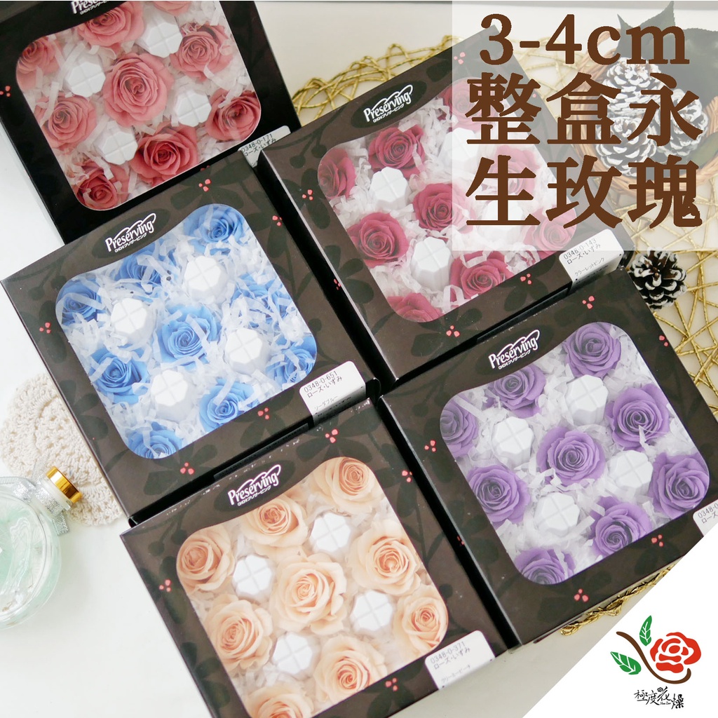 日本 大地農園 原裝 永生玫瑰 03480 極度花燥 花材 主花 永生花 乾燥花 不凋花 玫瑰 大地 聖誕節 耶誕節 | 蝦皮購物