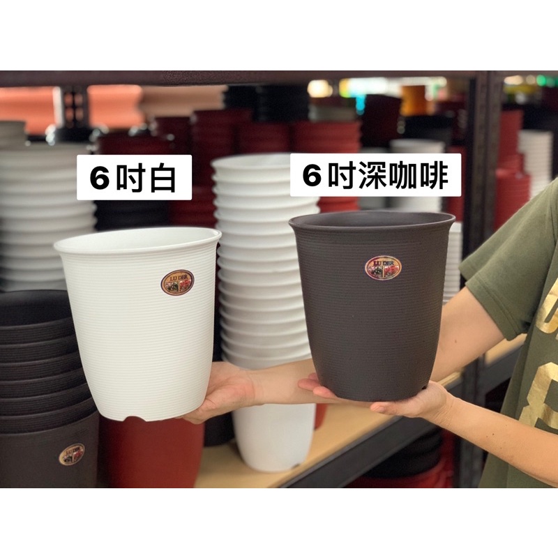 【隔日到貨】 文青質感高腳盆 硬質塑膠盆 可用10年以上 種植 園藝資材 育苗盆《龜背芋職人》 | 蝦皮購物