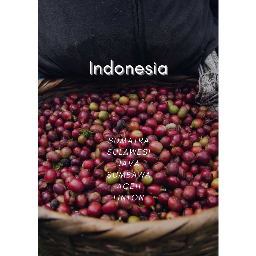 D.M Taste caf'e - 印尼 蘇門答臘 曼特寧 黃金曼特寧 咖啡豆 手沖咖啡 / 直火烘焙 | 蝦皮購物