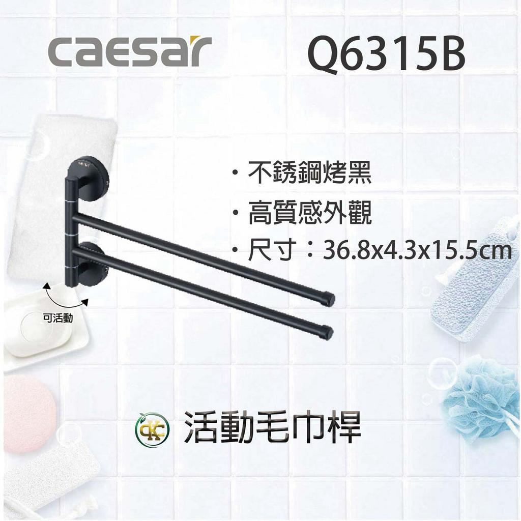 [ K.C ]Caesar 凱撒衛浴 Q6315B 不鏽鋼烤漆黑 活動毛巾架 毛巾架 浴室毛巾架 黑色毛巾架 浴室 | 蝦皮購物