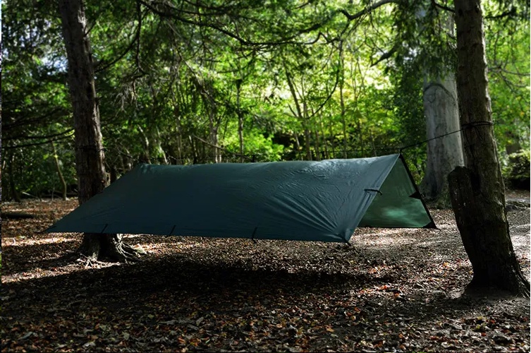 早點名｜ DD HAMMOCKS 野營天幕 4x4 橄欖綠 DD-TOG-4 | 蝦皮購物