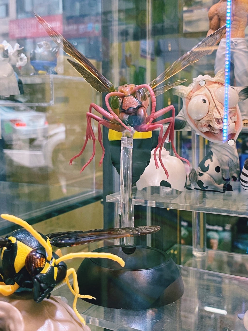 「VIC TOY」現貨 BANDAI 環保扭蛋 生物大圖鑑 德利蜂 全四種 拆外膜確認款 | 蝦皮購物