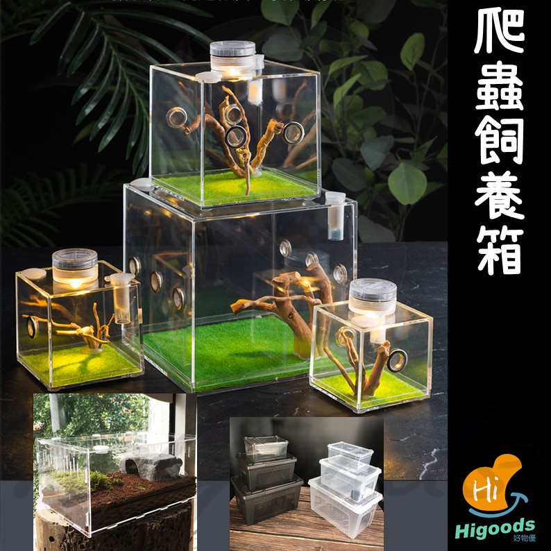 飼養箱 昆蟲盒 觀察盒 昆蟲飼養箱 昆蟲箱 爬蟲箱 爬蟲缸 飼養盒 寵物箱(好好買💰)_☆好物優HiGoods☆ | 蝦皮購物