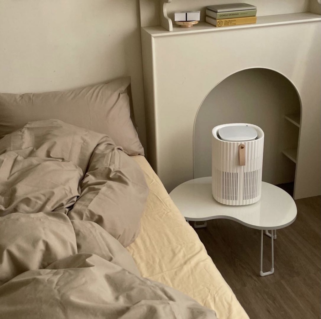ROOMMI Baby's Breath 空氣清淨機 INS風格 網美最愛 房間一定要擁有 | 蝦皮購物