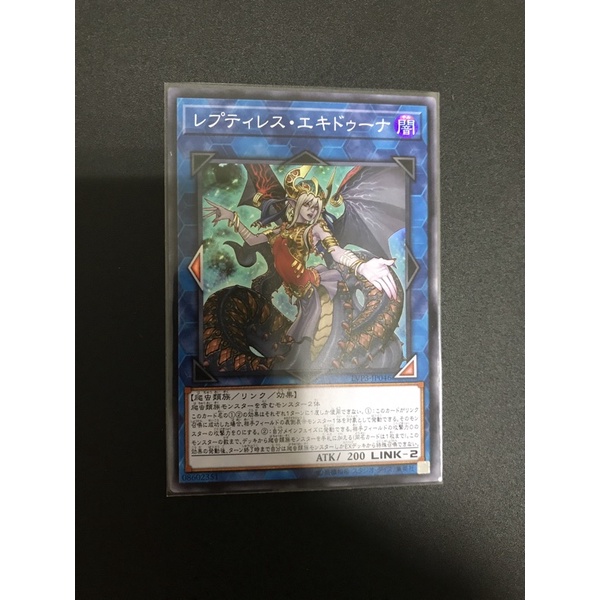 「Akira」遊戲王 LVP3-JP046 蛇妖 厄客德娜 (亮面) | 蝦皮購物